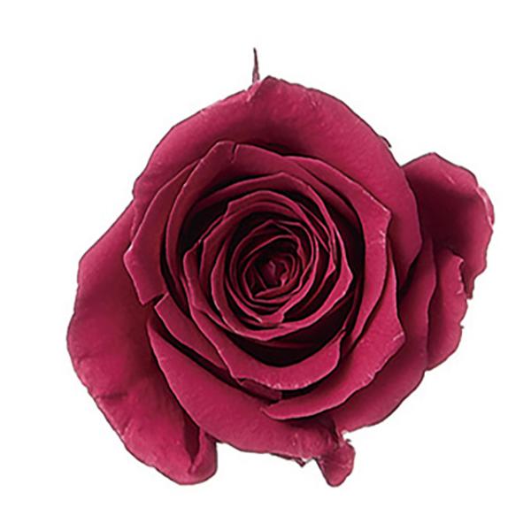 ビビアン ガーネット 02370-482【プリザーブドフラワー・プリザーブド　花材】24輪入り花径2-3cm花丈2-2.8cm＊自然の生花や植物を原料としています。サイズ、色、形などは同一ではありません＊表示について《検索ワード》プリザーブ...