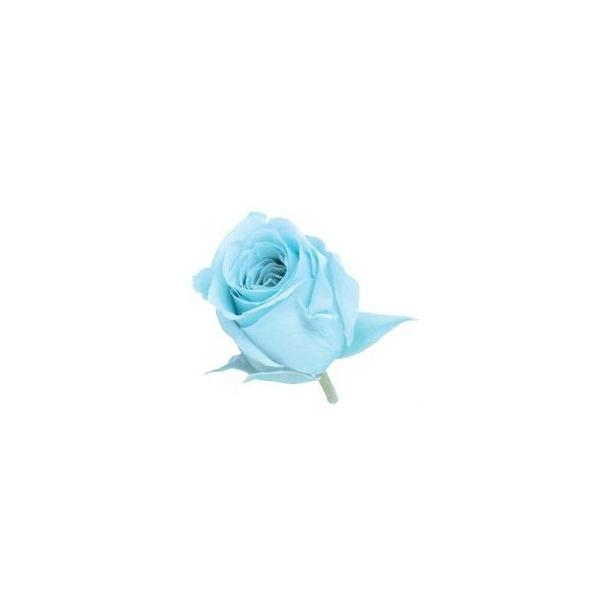 ビビアン ベビーブルー 02370-621【プリザーブドフラワー・プリザーブド　花材】24輪入り花径2-3cm花丈2-2.8cm＊自然の生花や植物を原料としています。サイズ、色、形などは同一ではありません＊表示について《検索ワード》プリザー...