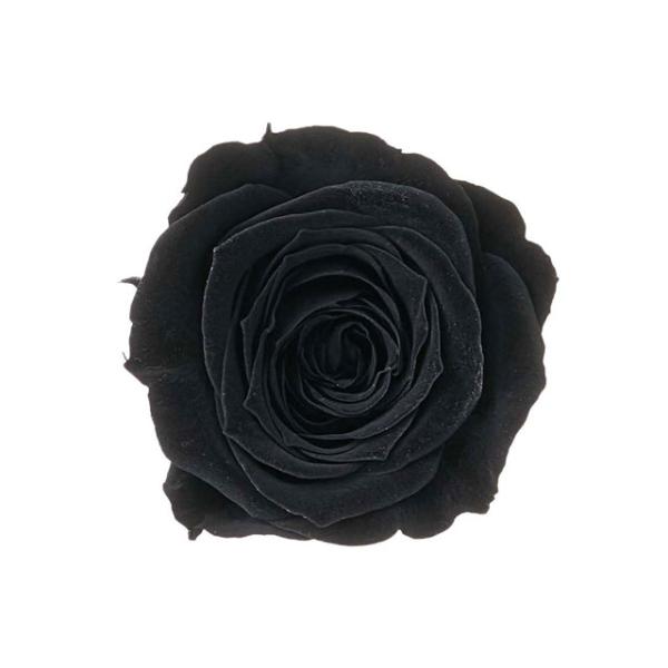 ビビアン 黒 02370-891【プリザーブドフラワー・プリザーブド　花材】24輪入り花径2-3cm花丈2-2.8cm＊自然の生花や植物を原料としています。サイズ、色、形などは同一ではありません＊表示について《検索ワード》プリザーブドフラワ...