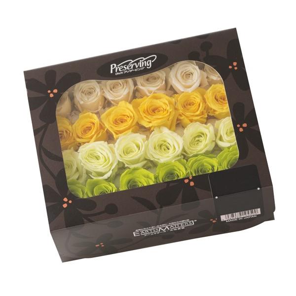 ビビアン・カラーアソート グリーンミックス 02374-770【プリザーブドフラワー・プリザーブド　花材】24輪入り花径2-3cm花丈2-2.8cmアンティックホワイト/ミモザイエロー/フレッシュグリーン/ライトグリーン＊自然の生花や植物を...