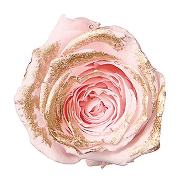 ビビアン・リュクス ブライダルピンク 02378-109【プリザーブドフラワー・プリザーブド　花材】24輪入り花径2-3cm花丈2-2.8cm＊自然の生花や植物を原料としています。サイズ、色、形などは同一ではありません＊表示について《検索ワ...