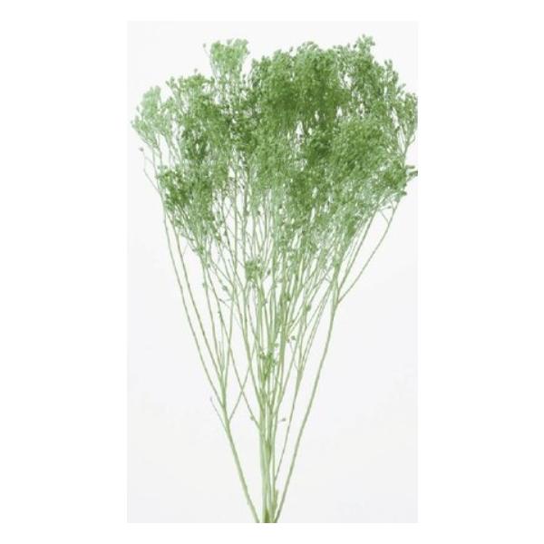 モリソニア【プリザーブドフラワー・プリザーブド　花材】１束約20g約45cm防虫加工＊自然の生花や植物を原料としています。サイズ、色、形などは同一ではありません。＊表示について《検索ワード》プリザーブドフラワー　ドライフラワー　花材　資材　...