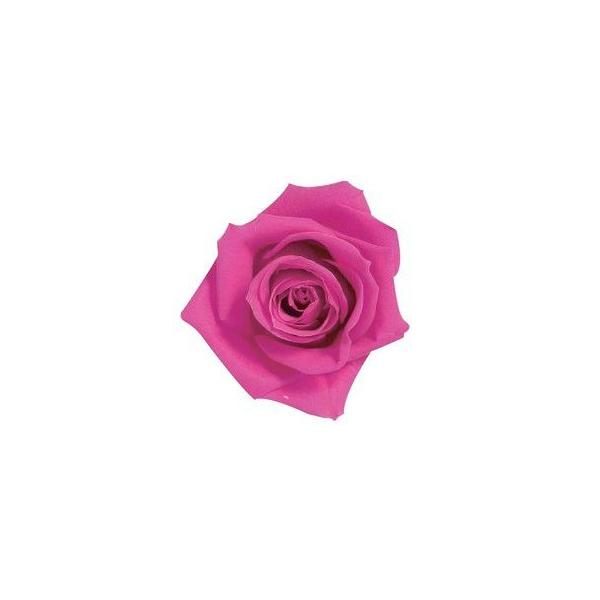 ローズ・いずみ ストロベリー 03480-221【プリザーブドフラワー・プリザーブド　花材】9輪入り花径3.5-4.5cm花丈3-3.5m＊自然の生花や植物を原料としています。サイズ、色、形などは同一ではありません＊表示について《検索ワード...