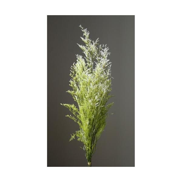 カスピア 白／グリーン 03715-017約60cmL/1束(約27g)防虫加工＊商品特性上、花や葉が折れたり割れたりしている場合がございます。＊自然の生花や植物を原料としています。サイズ、色、形などは同一ではありません。＊表示について《検...