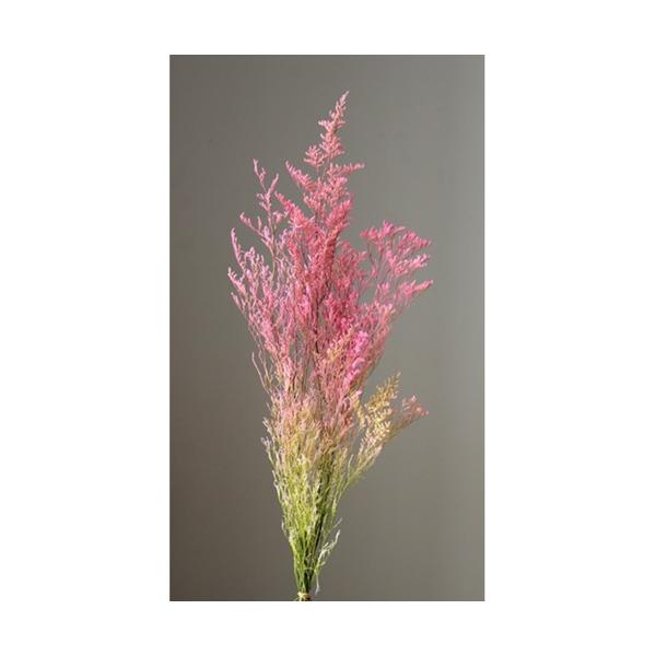 カスピア ピンク／グリーン 03715-170約60cmL/1束(約27g)防虫加工＊商品特性上、花や葉が折れたり割れたりしている場合がございます。＊自然の生花や植物を原料としています。サイズ、色、形などは同一ではありません。＊表示について...