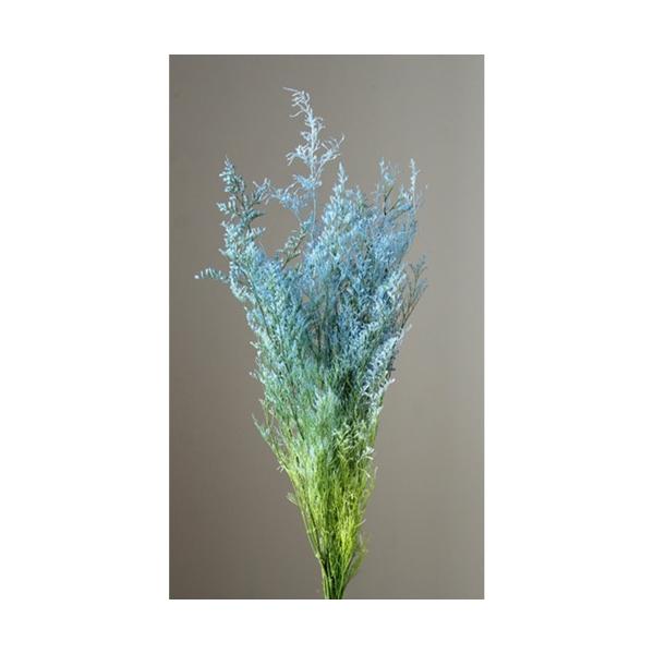 カスピア ブルー／グリーン 03715-670約60cmL/1束(約27g)防虫加工＊商品特性上、花や葉が折れたり割れたりしている場合がございます。＊自然の生花や植物を原料としています。サイズ、色、形などは同一ではありません。＊表示について...