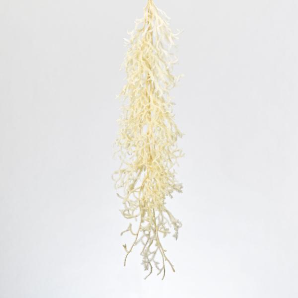 ヒカゲノカズラ・オフホワイト【プリザーブドフラワー・プリザーブド　花材】約70-90cmL/1束（2本）＊自然の生花や植物を原料としています。＊表示について《検索ワード》プリザーブドフラワー　ドライフラワー　花材　資材　大地農園かざい　卸　...