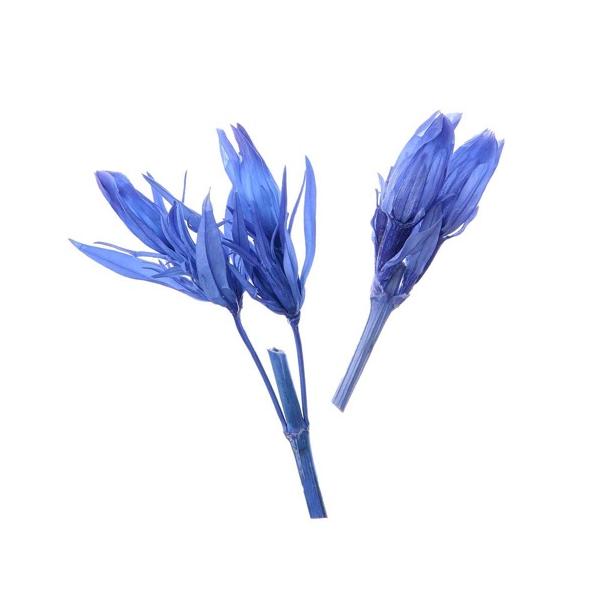 リンドウ　大地農園【プリザーブドフラワー・プリザーブド　花材】約8輪入り7-10cm＊自然の生花や植物を原料としています。サイズ、色、形などは同一ではありません＊表示について《検索ワード》プリザーブドフラワー　ドライフラワー　花材　資材　大...