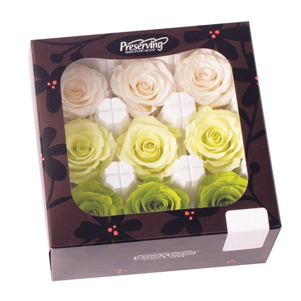 ローズ・かのん・Ｍ・カラーアソート グリーンミックス 05207-770【プリザーブドフラワー・プリザーブド　花材】9輪入りアンティックホワイト/フレッシュグリーン/ライトグリーン花径4-4.5cm花丈3.5-4cm＊自然の生花や植物を原料...