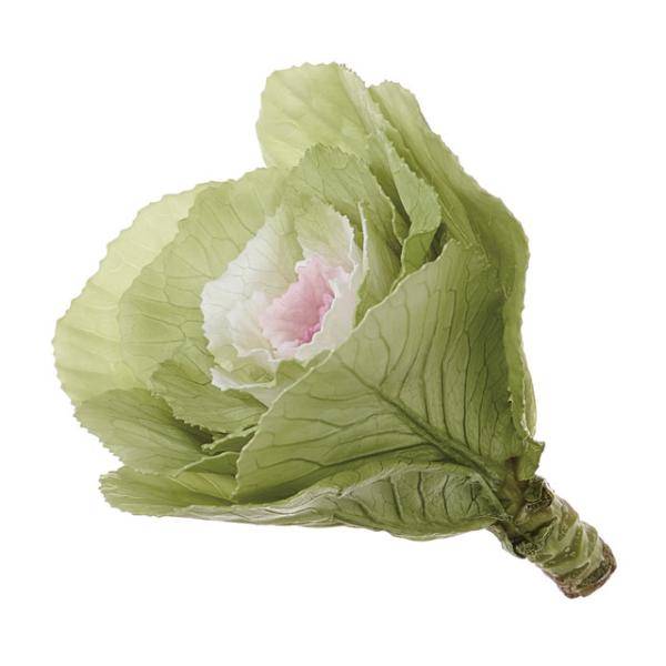 葉牡丹　葉ぼたん　大地農園【プリザーブドフラワー・プリザーブド　花材】3輪入り花径6-8cm＊サイズに個体差があります。＊自然の生花や植物を原料としています。サイズ、色、形などは同一ではありません＊表示について《検索ワード》プリザーブドフラ...