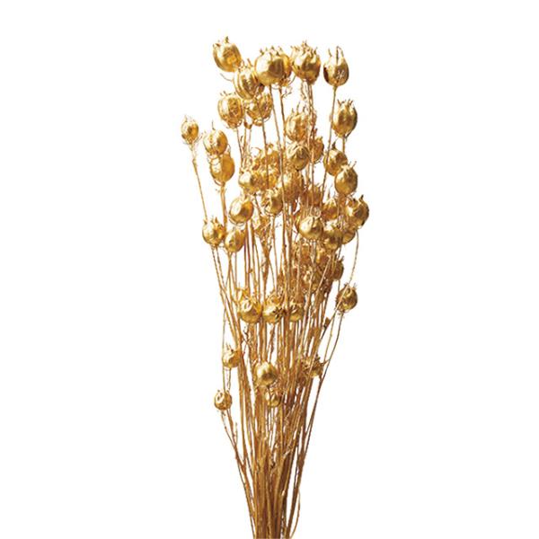 フーセンポピー ゴールド 10060-902【ドライフラワー　花材】１束 （約30ｇ）約35-50cm防虫加工＊季節により長さが異なる為、一束のグラム数がかわします。実のボリュームは同じです。＊自然の生花や植物を原料としています。サイズ、色...