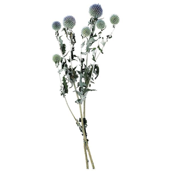 【プリザーブドフラワー・プリザーブド　花材】１束（約6-7輪）約50-55cmL花サイズ　約1.5-4cmΦ＊自然の生花や植物を原料としています。サイズ、色、形などは同一ではありません。＊表示について《検索ワード》プリザーブドフラワー　ドラ...