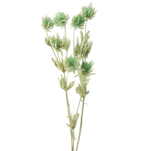 エリンジューム【プリザーブドフラワー・プリザーブド　花材】約45-50ｃｍ　1束（約2本）＊自然の生花や植物を原料としています。＊表示について《検索ワード》プリザーブドフラワー　ドライフラワー　花材　資材　大地農園かざい　卸　問屋　ハーバリ...