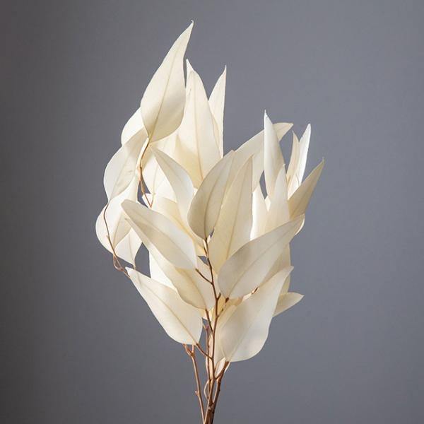 ウィローユーカリ オフホワイト 16100-0111束（約25ｇ）約55-60ｃｍＬ商品特性上、花・葉・実が落ちたり割れがあります。＊自然の生花や植物を原料としています。サイズ、色、形などは同一ではありません。＊表示について《検索ワード》プ...