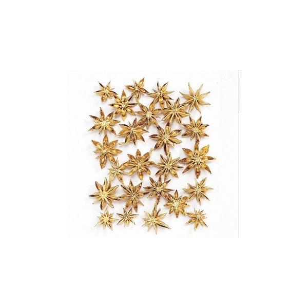 スターアニス ゴールド 21020-902約3ｃｍ１袋（約35g・約17コ）＊自然の生花や植物を原料としています。サイズ、色、形などは同一ではありません。＊表示について《検索ワード》プリザーブドフラワー　ドライフラワー　花材　資材　大地農園...