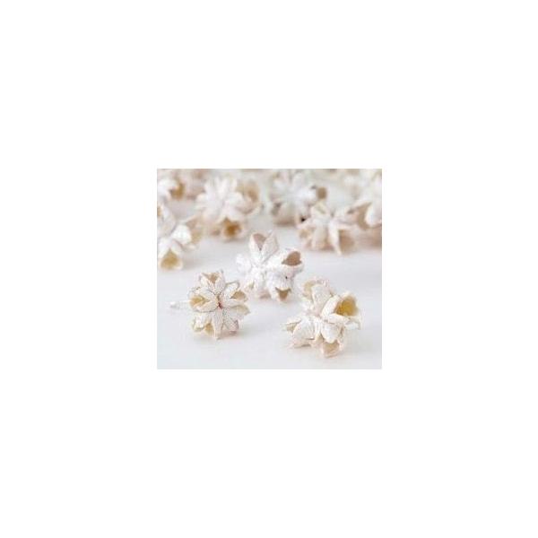 フラワーコーン パールホワイト 24710-013約2ｃｍ　約30ｇ　約３０-50個＊自然の生花や植物を原料としています。＊表示について《検索ワード》プリザーブドフラワー　ドライフラワー　花材　資材　大地農園かざい　卸　問屋　ハーバリウム　...