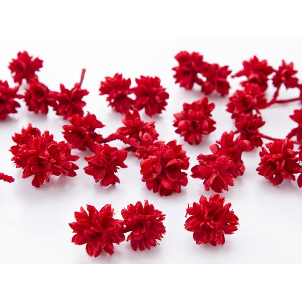 フラワーコーン レッド 24710-301約2ｃｍ　約30ｇ　約３０-50個＊自然の生花や植物を原料としています。＊表示について《検索ワード》プリザーブドフラワー　ドライフラワー　花材　資材　大地農園かざい　卸　問屋　ハーバリウム　フラワー...