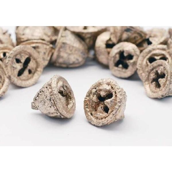 ユーカリの実 プラチナ 24800-932約1.5-2.5ｃｍ　約50ｇ　約30個＊自然の生花や植物を原料としています。＊表示について《検索ワード》プリザーブドフラワー　ドライフラワー　花材　資材　大地農園かざい　卸　問屋　ハーバリウム　フ...