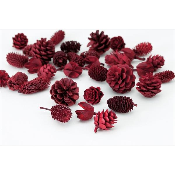 レッドコーンアソート レッド 24870-3001袋（約35個・約50g）＊自然の生花や植物を原料としています。サイズ、色、形などは同一ではありません。＊表示について《検索ワード》プリザーブドフラワー　ドライフラワー　花材　資材　大地農園か...