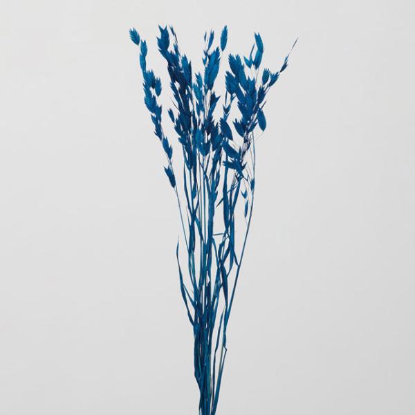 ワイルドオーツ　大地農園【プリザーブドフラワー・プリザーブド　花材】１束　約10本約70cm防虫加工＊自然の生花や植物を原料としています。サイズ、色、形などは同一ではありません。＊表示について《検索ワード》プリザーブドフラワー　ドライフラワ...