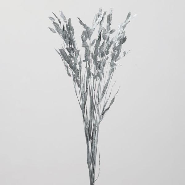 ワイルドオーツ　大地農園【プリザーブドフラワー・プリザーブド　花材】１束　約10本約70cm防虫加工＊自然の生花や植物を原料としています。サイズ、色、形などは同一ではありません。＊表示について《検索ワード》プリザーブドフラワー　ドライフラワ...