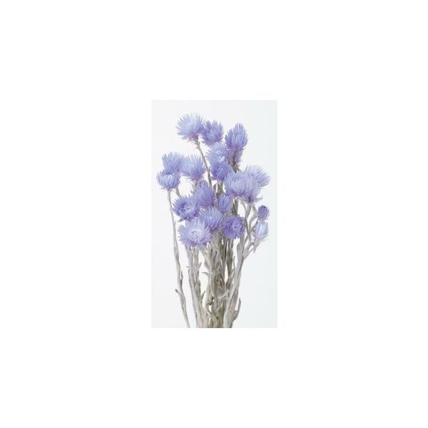 ミニシルバーデージー ライトパープル 32001-410１束（約25ｇ）約30cm花径約3.5~4ｃｍ【重要・商品特性】商品の特性上、花びらの折れ、ヨレ、焼け、縮れ、黄ばみ、画像とお花の開き具合が異なる場合がございますが全て商品特性の為良品...