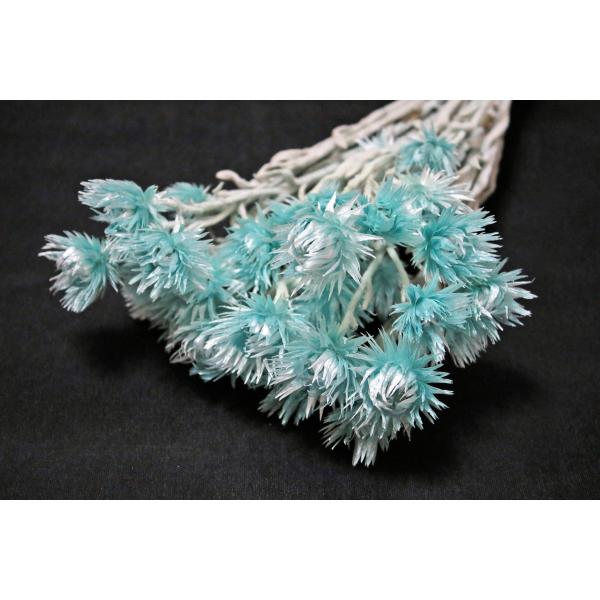 ミニシルバーデージー１束（約25ｇ）約30cm花径約3.5~4ｃｍ【重要・商品特性】商品の特性上、花びらの折れ、ヨレ、焼け、縮れ、黄ばみ、画像とお花の開き具合が異なる場合がございますが全て商品特性の為良品と判断させて頂いております。ご理解ご...