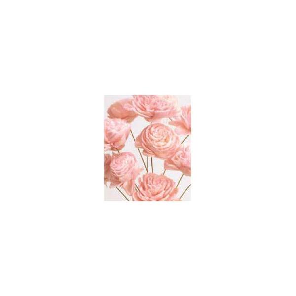 ソーラーローズ　小 エンジェルピンク 32081-141１束10本約25cmL花径：約4cm＊自然の生花や植物を原料としています。サイズ、色、形などは同一ではありません。＊表示について《検索ワード》プリザーブドフラワー　ドライフラワー　花材...