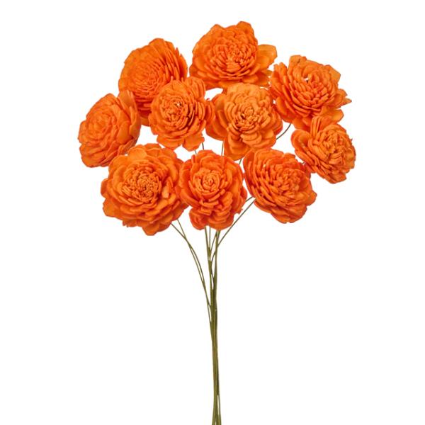 ソーラーローズ１束10本約25cmL花径：約4cm防虫加工＊自然の生花や植物を原料としています。サイズ、色、形などは同一ではありません。＊表示について《検索ワード》プリザーブドフラワー　ドライフラワー　花材　資材　大地農園かざい　卸　問屋　...