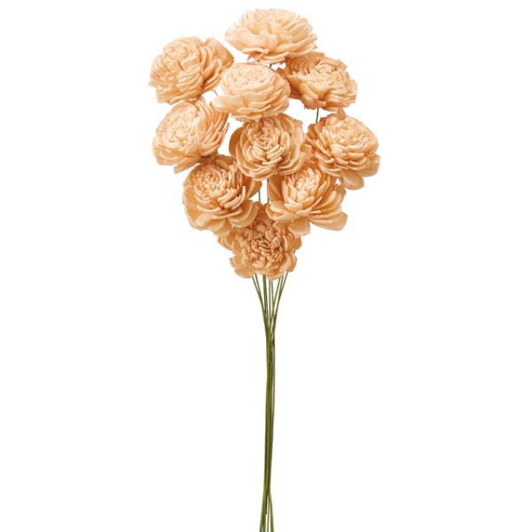 ソーラーローズ　小１束10本約25cmL花径：約4cm防虫加工＊自然の生花や植物を原料としています。サイズ、色、形などは同一ではありません。＊表示について《検索ワード》プリザーブドフラワー　ドライフラワー　花材　資材　大地農園かざい　卸　問...