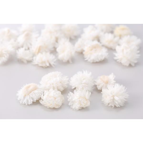 ヘリクリサム・ヘッド 白 32130-011１袋（約10g20-25輪）花サイズ約2-4cm＊商品特性上、花や葉が折れたり割れたりしている場合がございます。＊自然の生花や植物を原料としています。サイズ、色、形などは同一ではありません。＊表示...