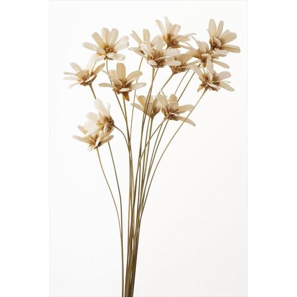 プチフラワー 白 32140-010約30-40ｃｍL　花径3.5ｃｍ　1束15本＊自然の生花や植物を原料としています。【要　ご確認】＊ハンドメイド商品です。一部の商品でグルー等が目立つ物がございますが製造過程の物でございます。　輸送中に花...