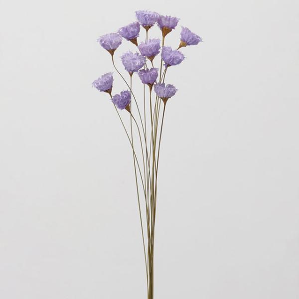 カップフラワー　大地農園約40-45ｃｍL　花径約2ｃｍ　1束12本＊自然の生花や植物を原料としています。【要　ご確認】＊ハンドメイド商品です。一部の商品でグルー等が目立つ物がございますが製造過程の物でございます。　輸送中に花弁が落ちたりす...