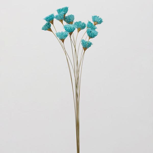 カップフラワー　大地農園約40-45ｃｍL　花径約2ｃｍ　1束12本＊自然の生花や植物を原料としています。【要　ご確認】＊ハンドメイド商品です。一部の商品でグルー等が目立つ物がございますが製造過程の物でございます。　輸送中に花弁が落ちたりす...