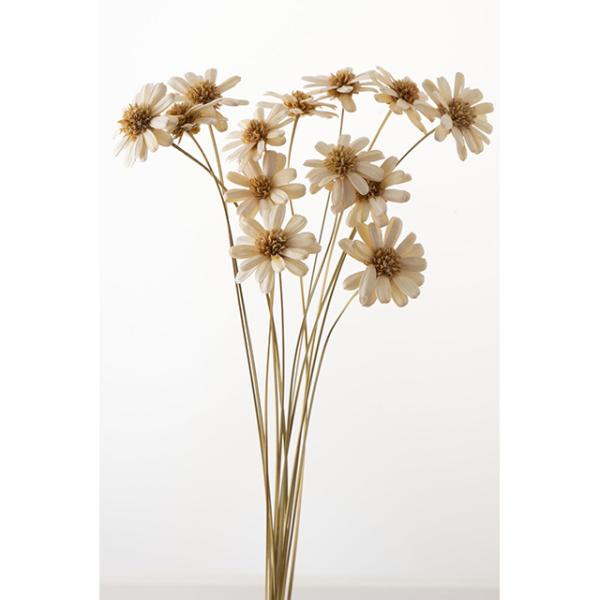 マーガレットフラワー・白約30-40ｃｍL　花径約5ｃｍ　1束10本＊自然の生花や植物を原料としています。＊ハンドメイド商品です。一部の商品でグルー等が目立つ物がございますが製造過程の物でございます。　輸送中に花弁が落ちたりすることがござい...