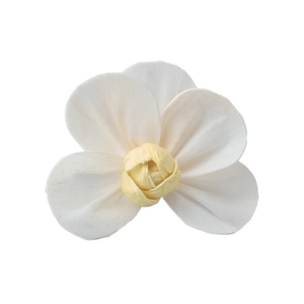 ソーラーコチョウラン１袋５輪花径　約6ｃｍ＊自然の生花や植物を原料としています。サイズ、色、形などは同一ではありません。＊表示について《検索ワード》プリザーブドフラワー　ドライフラワー　花材　資材　大地農園かざい　卸　問屋　ハーバリウム　フ...