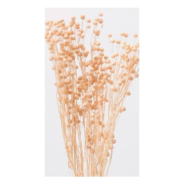 リンフラワー　【ドライフラワー　大地農園】1束　約25g　約50ｃｍL＊自然の生花や植物を原料としています。サイズ、色、形などは同一ではありません。＊表示について《検索ワード》プリザーブドフラワー　ドライフラワー　花材　資材　大地農園かざい...