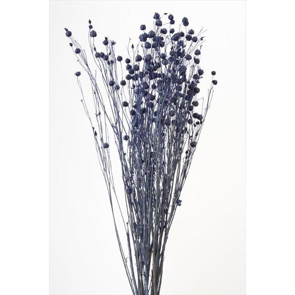 リンフラワー コバルトブルー 35010-6811束　約25g　約50ｃｍL＊自然の生花や植物を原料としています。サイズ、色、形などは同一ではありません。＊表示について《検索ワード》プリザーブドフラワー　ドライフラワー　花材　資材　大地農園...