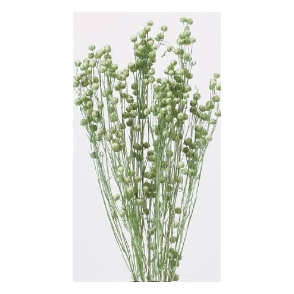 リンフラワー　【ドライフラワー　大地農園】1束　約25g　約50ｃｍL＊自然の生花や植物を原料としています。サイズ、色、形などは同一ではありません。＊表示について《検索ワード》プリザーブドフラワー　ドライフラワー　花材　資材　大地農園かざい...