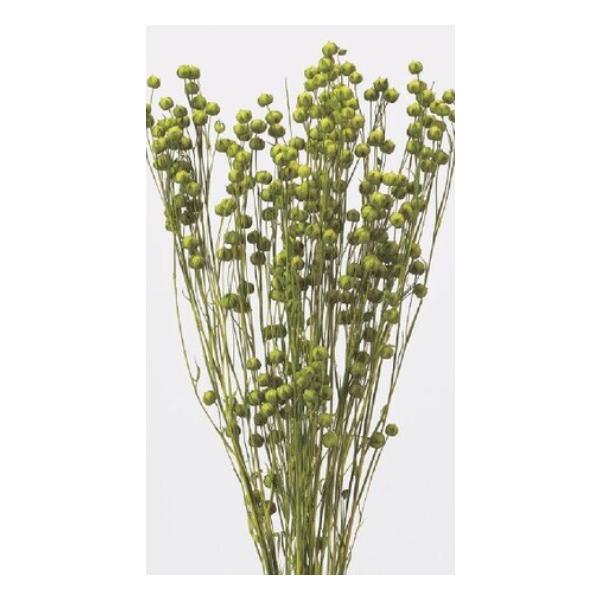 リンフラワー　【ドライフラワー　大地農園】1束　約25g　約50ｃｍL＊自然の生花や植物を原料としています。サイズ、色、形などは同一ではありません。＊表示について《検索ワード》プリザーブドフラワー　ドライフラワー　花材　資材　大地農園かざい...