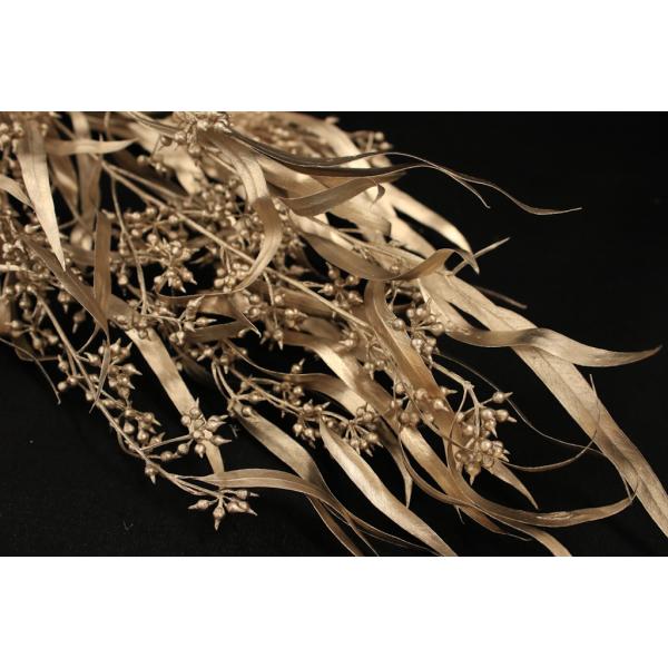 ユーカリ・エキゾチカ・葉付 プラチナ 40175-932【プリザーブドフラワー花材】約50-55ｃｍL　約30ｇ＊商品特性上葉落ち、折れがございます。＊自然の生花や植物を原料としています。＊表示について《検索ワード》プリザーブドフラワー　ド...