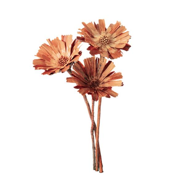 リペンス・ロゼッタ Ｎ 40250-0001束（3本）約20-35ｃｍL華の開き具合に個体差があります。素材の特性上樹液がついているものがあります。＊自然の生花や植物を原料としています。＊表示について《検索ワード》プリザーブドフラワー　ドラ...