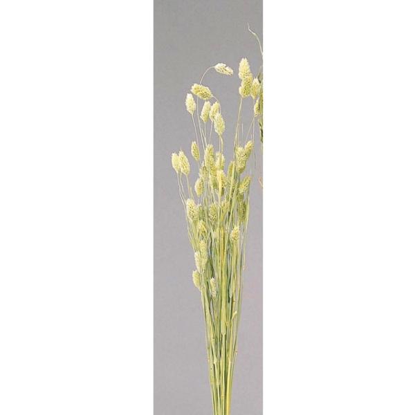 ポアプランツ・ナチュラルグリーン 42020-012１束約40g約50cm＊自然の生花や植物を原料としています。サイズ、色、形などは同一ではありません。＊表示について《検索ワード》プリザーブドフラワー　ドライフラワー　花材　資材　大地農園か...
