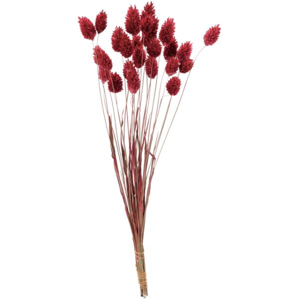 ポアプランツ クラシックローズ 42020-230１束約15-19g約40-50cm防虫加工＊自然の生花や植物を原料としています。サイズ、色、形などは同一ではありません。＊表示について《検索ワード》プリザーブドフラワー　ドライフラワー　花材...