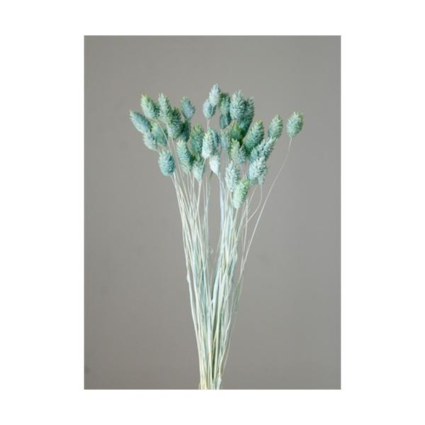 ポアプランツ・ツートン ブルーイエロー 42025-652１束約19g約50cm防虫加工＊自然の生花や植物を原料としています。サイズ、色、形などは同一ではありません。＊表示について《検索ワード》プリザーブドフラワー　ドライフラワー　花材　資...