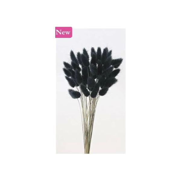 ラグラス 黒 42050-890１束約15g約40-50cm防虫加工＊自然の生花や植物を原料としています。サイズ、色、形などは同一ではありません。＊表示について《検索ワード》プリザーブドフラワー　ドライフラワー　花材　資材　大地農園かざい　...