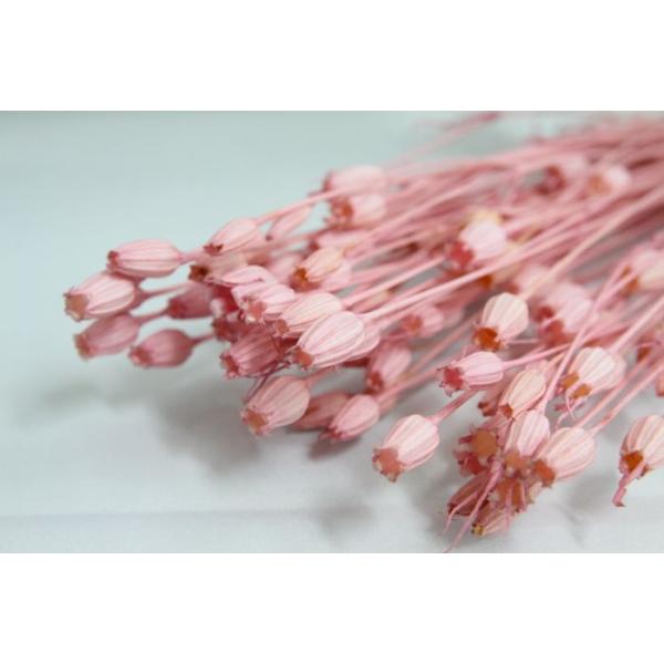 フローレンティナ ピンク 50510-101１束（約30g）　約50cmL。サイズ、色、形などは同一＊表示について《検索ワード》プリザーブドフラワー　ドライフラワー　花材　資材　大地農園かざい　卸　問屋　ハーバリウム　フラワーアレンジアロマ...