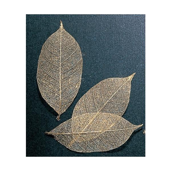 ミニスケルトンリーフ　大 ゴールド 51494-902１袋（約40枚）約7-10cm防虫加工＊自然の生花や植物を原料としています。サイズ、色、形などは同一ではありません。＊表示について《検索ワード》プリザーブドフラワー　ドライフラワー　花材...