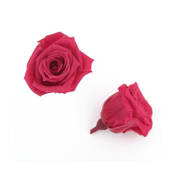 プリザーブドフラワー・ ホットピンク・ベイビー・ FL050-08   【プリザーブドフラワー・プリザーブド　花材】12輪入り直径2.5-3.5cm高さ2.6-3.2cm＊自然の生花や植物を原料としています。サイズ、色、形などは同一ではあり...