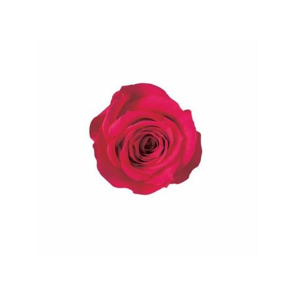 【プリザーブドフラワー・プリザーブド　花材】8輪入り直径3.5-4.5cm高さ3-3.5cm＊自然の生花や植物を原料としています。サイズ、色、形などは同一ではありません。＊表示について《検索ワード》プリザーブドフラワー　ドライフラワー　花材...